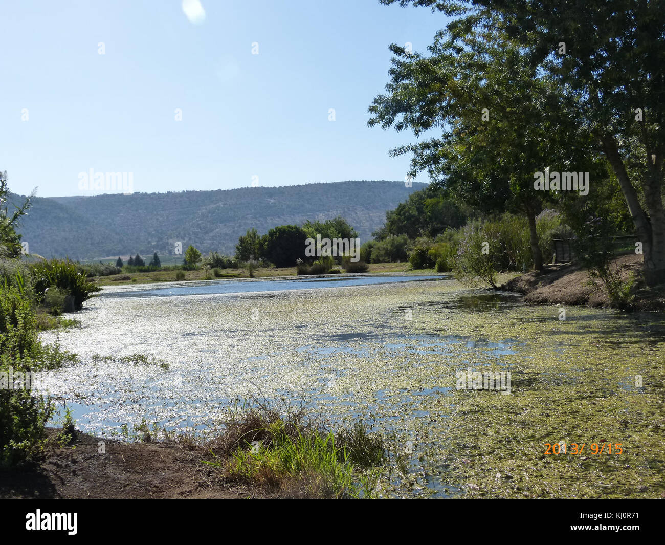 Israeli nature hi-res stock photography and images - Alamy