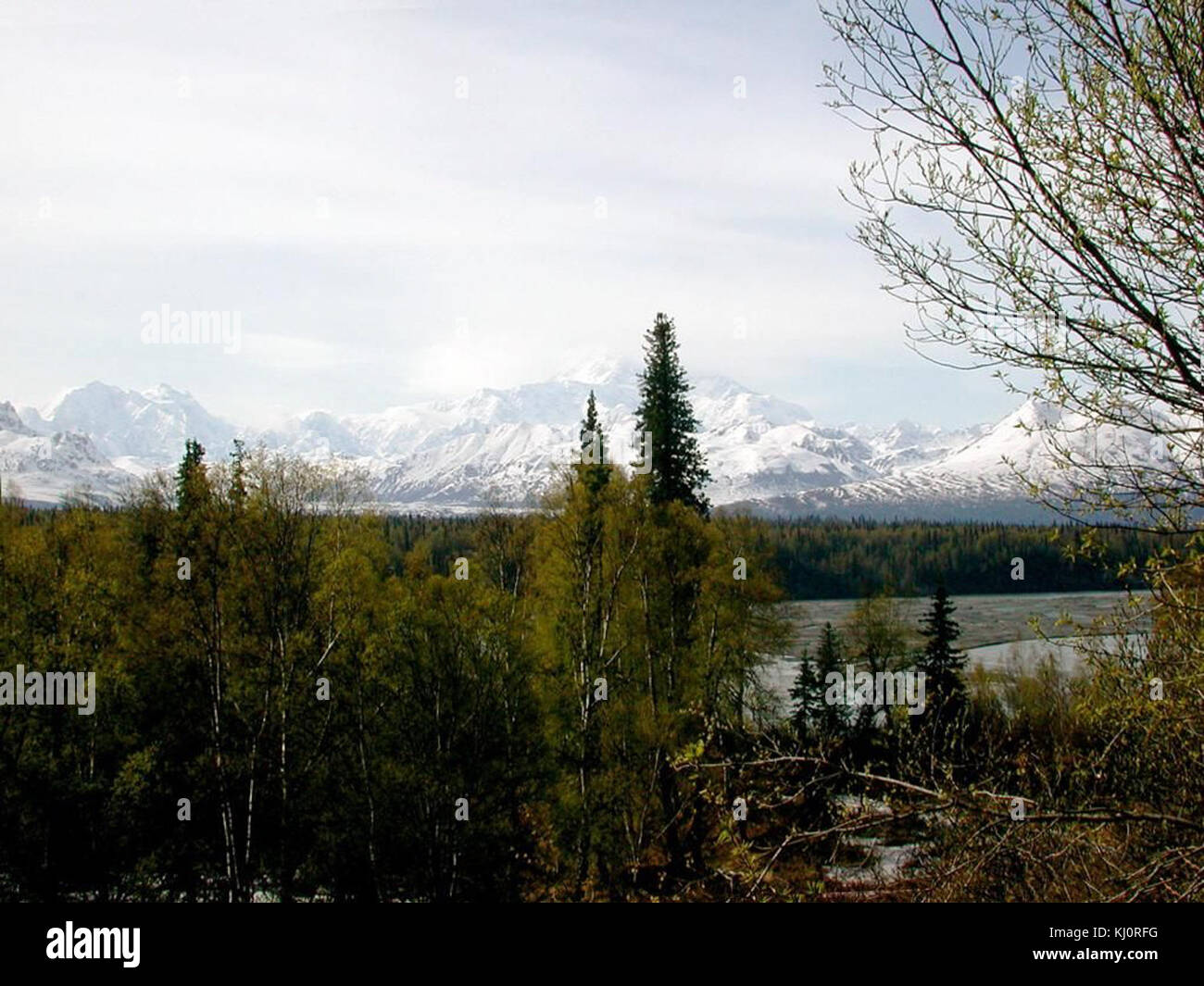 This image shows the Ak Range and Mount McKinley (now Denali), the ...