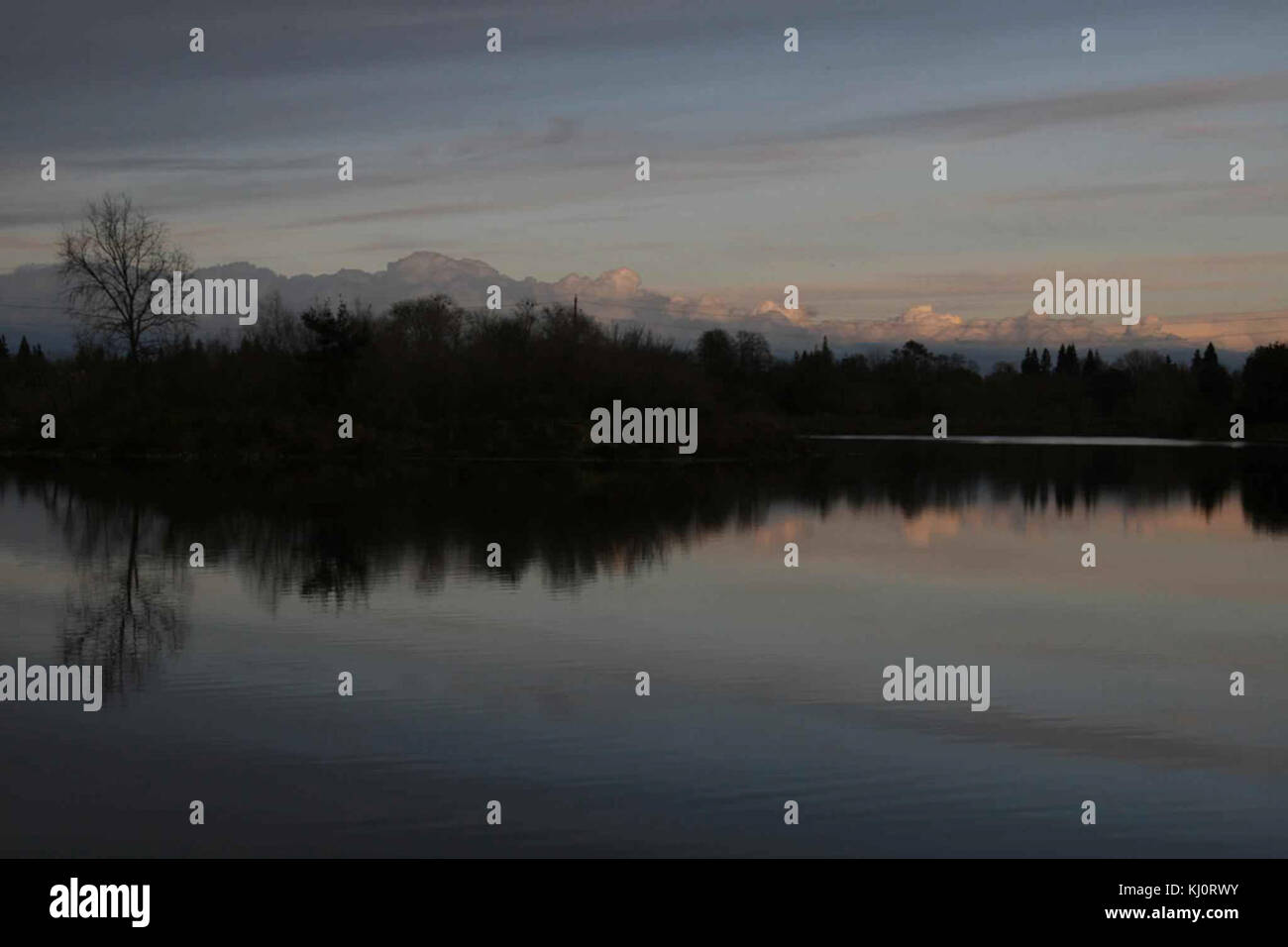 Image of William pond park on lower American river in Rio Vista Stock ...