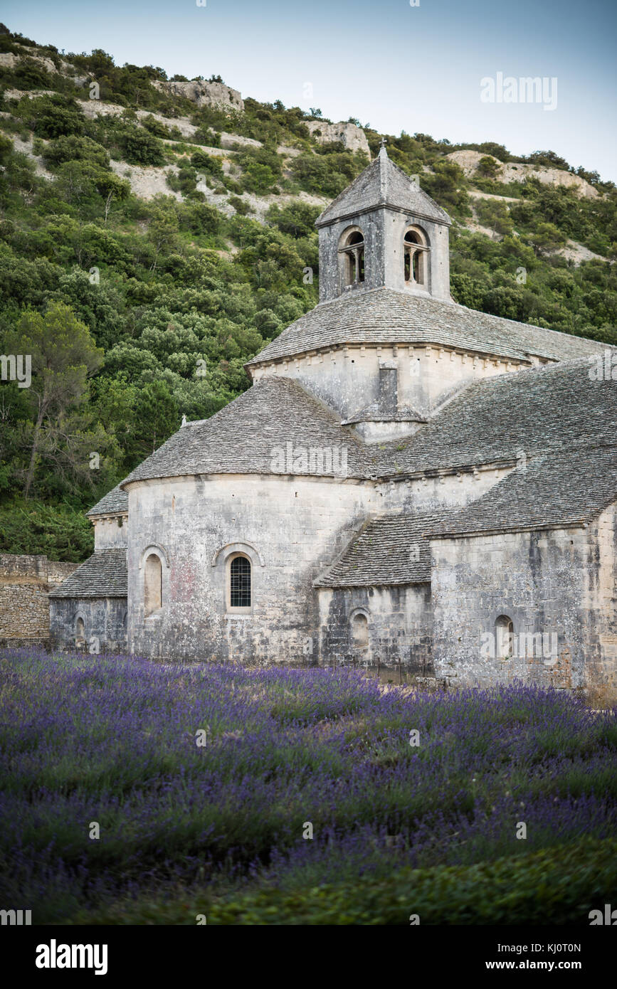 Abbey de Senanque viewed over lavander field, Provence, France, Europe ...