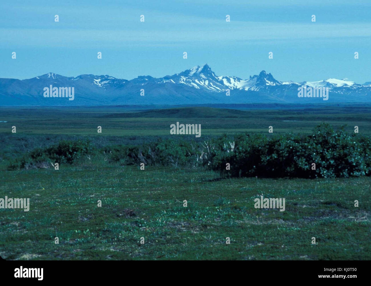 Becharof national wildlife refuge and wildlife hi-res stock photography ...