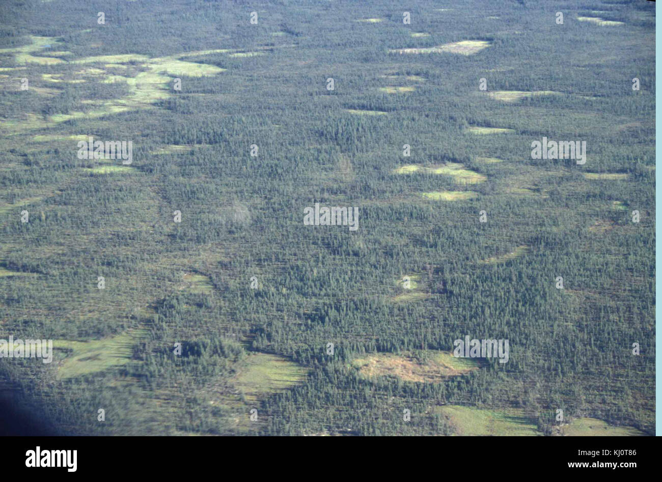 Innoko hi-res stock photography and images - Alamy