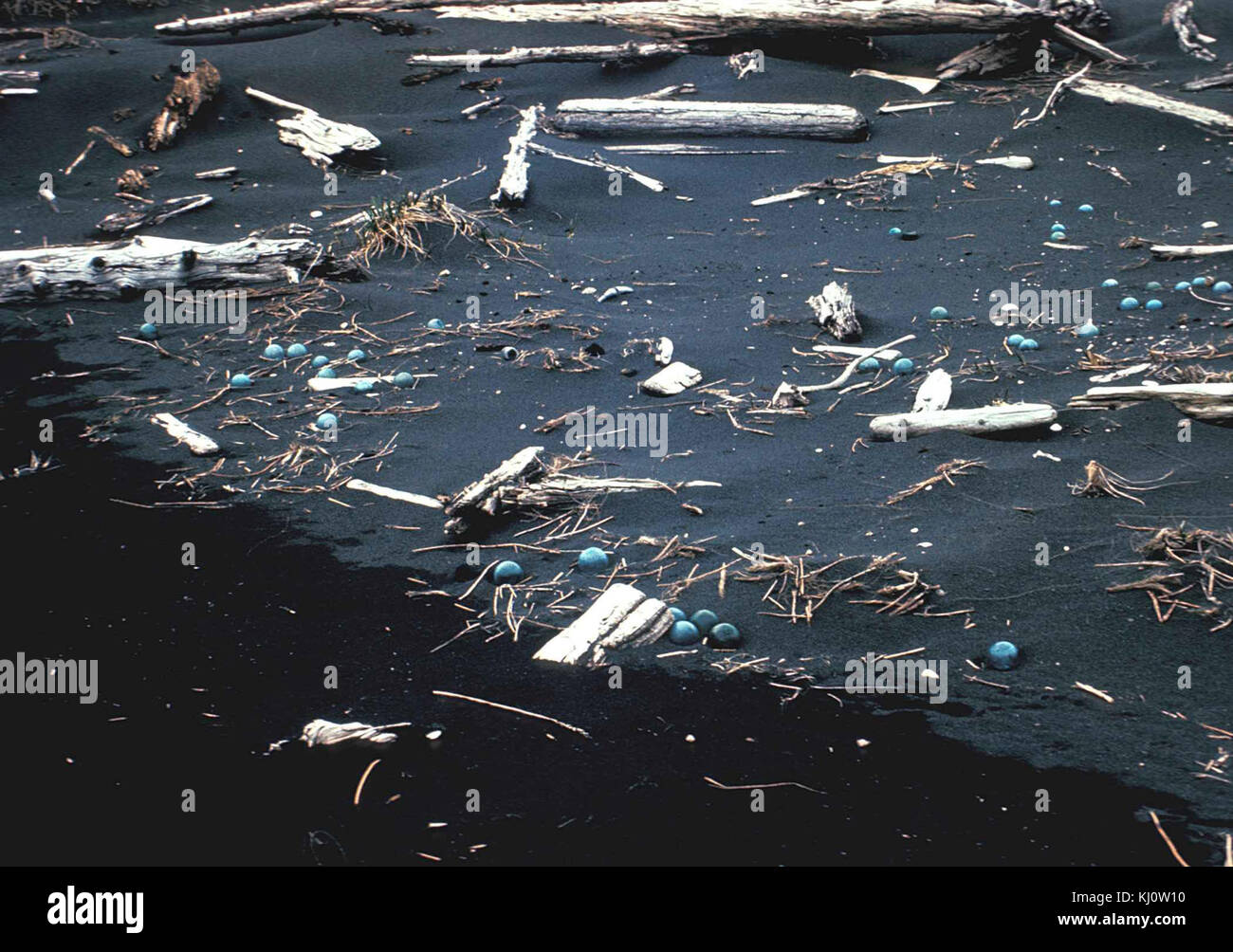 Japanese glass floats on bering sea beach Stock Photo - Alamy