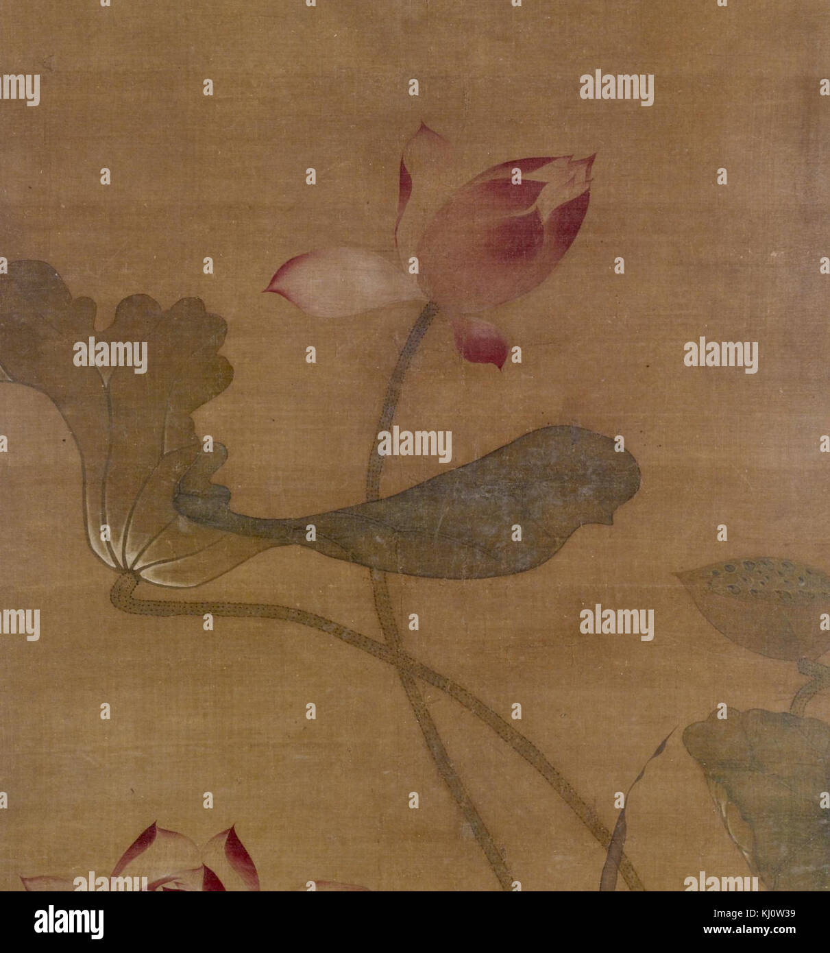 Chinese - Ducks in a Lotus Pond - Walters 3566 - Detail A Stock Photo ...