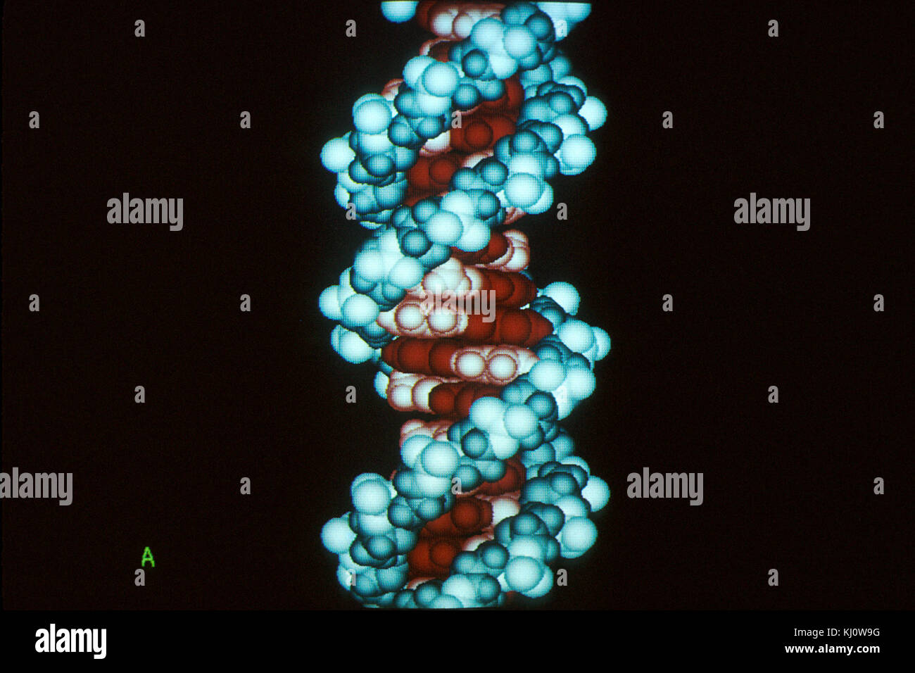 Computer DNA molecule Stock Photo - Alamy
