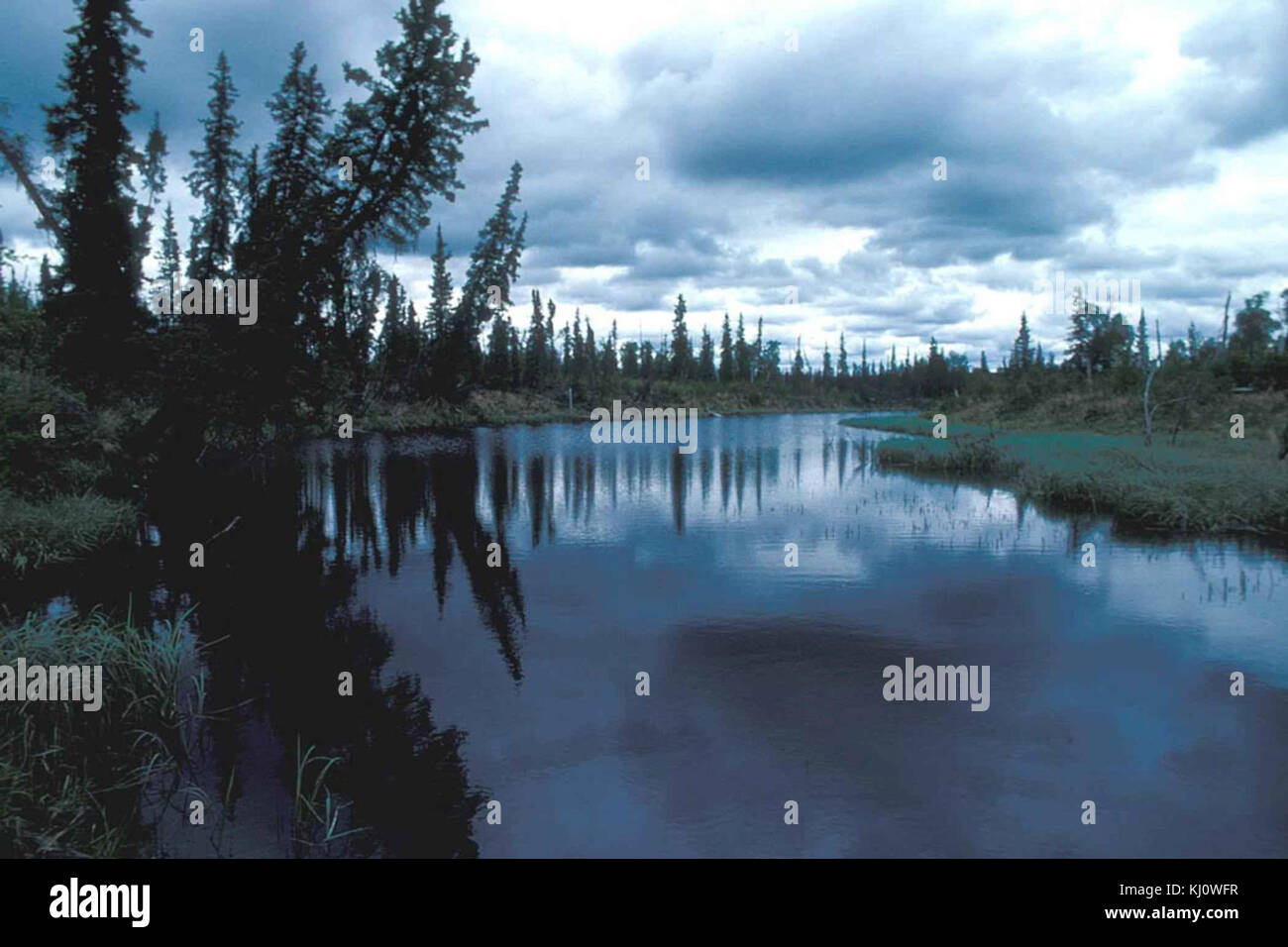 Kanuti lake scenics Stock Photo - Alamy