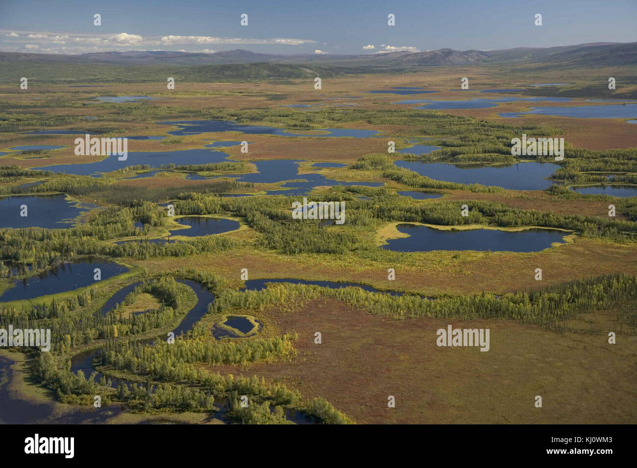 Kanuti hi-res stock photography and images - Alamy