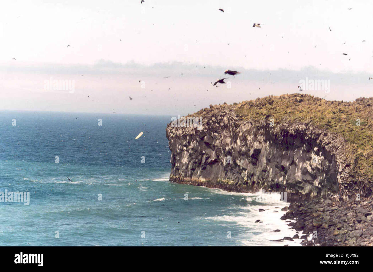 Kenyon dome of basalt columns on Bogoslof island Stock Photo - Alamy