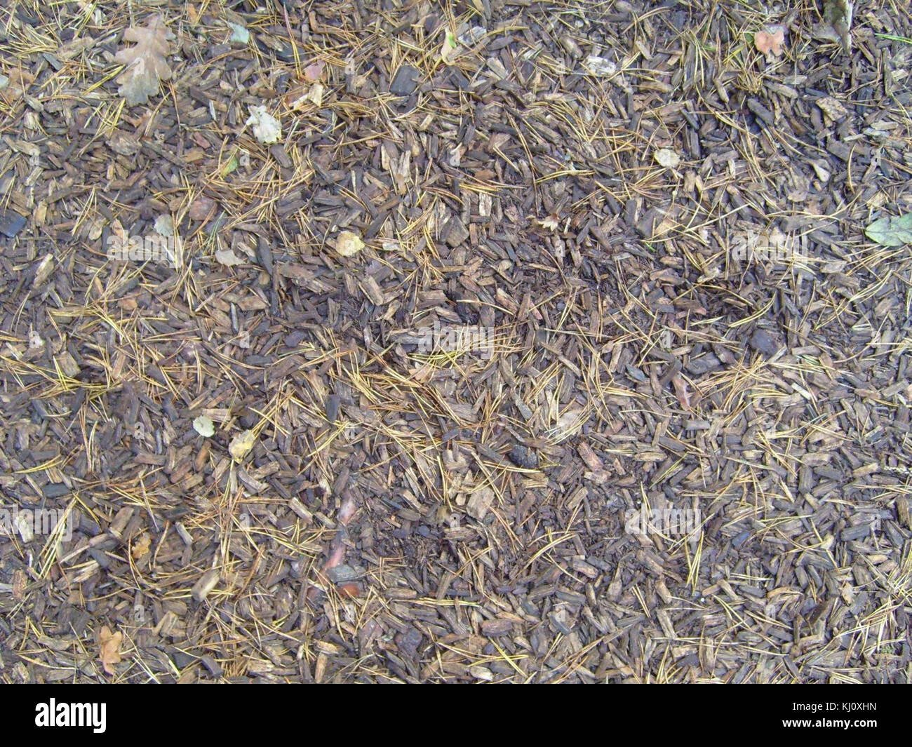 Ground wood hi-res stock photography and images - Alamy