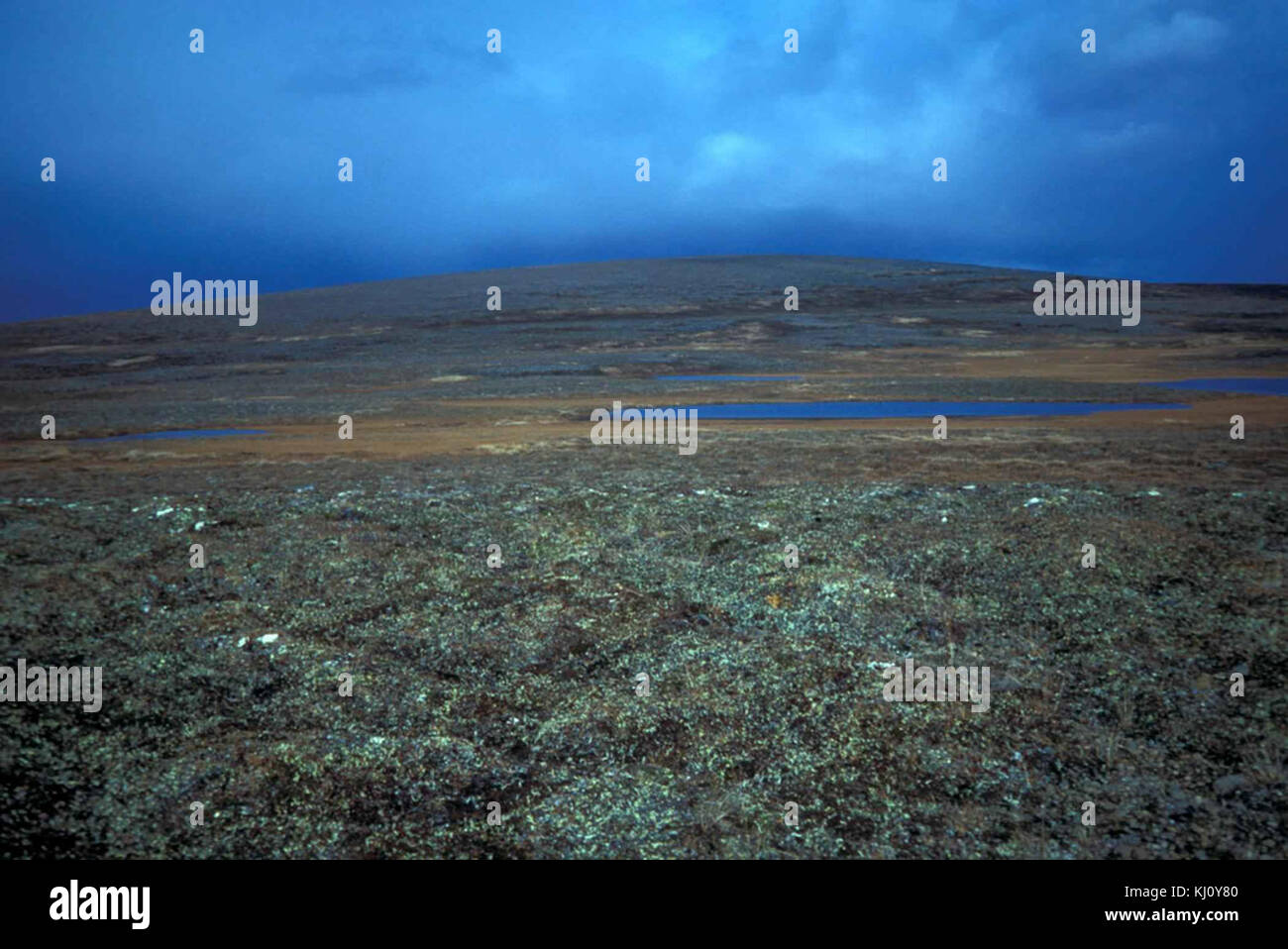Becharof hi-res stock photography and images - Alamy