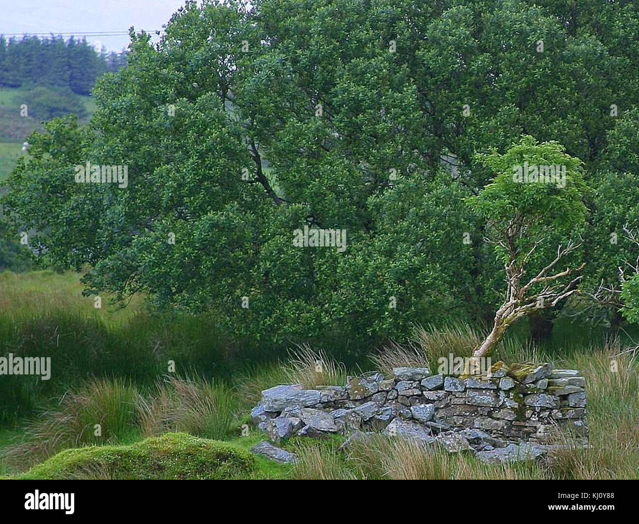 Glengesh pass in Ireland landscape Stock Photo - Alamy