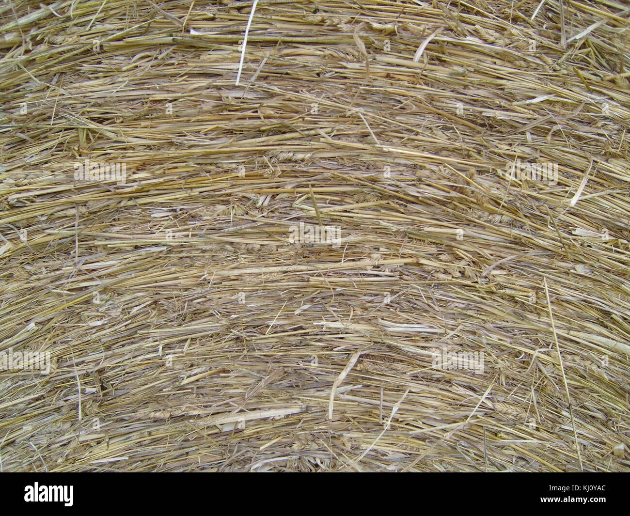 Hay roll macro Stock Photo - Alamy