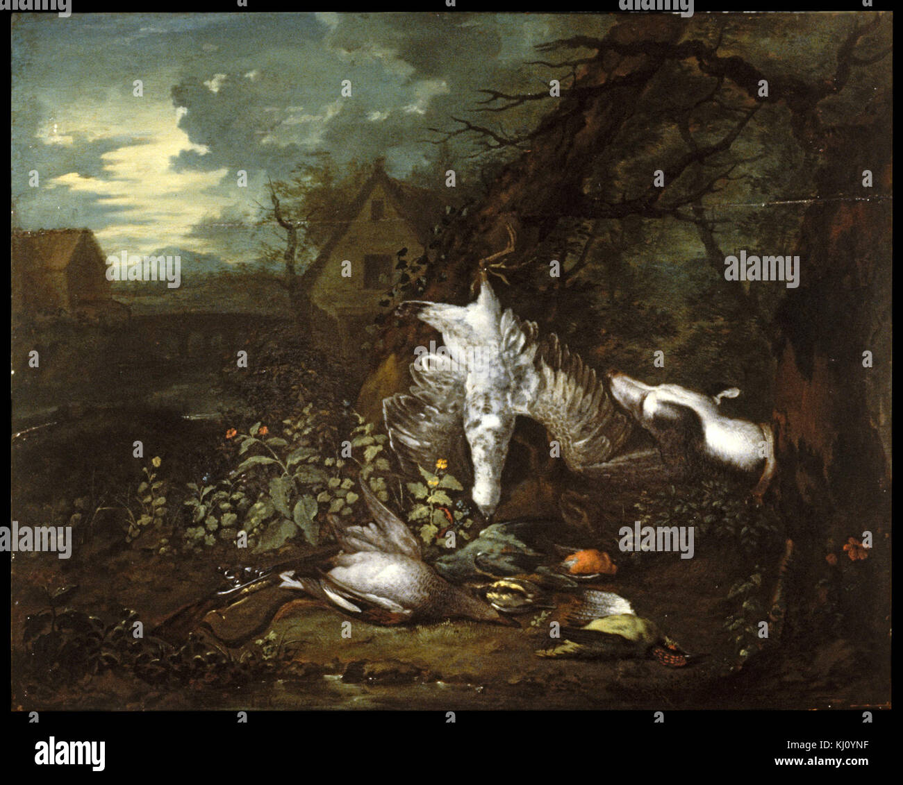Still life with dead birds hi-res stock photography and images - Alamy