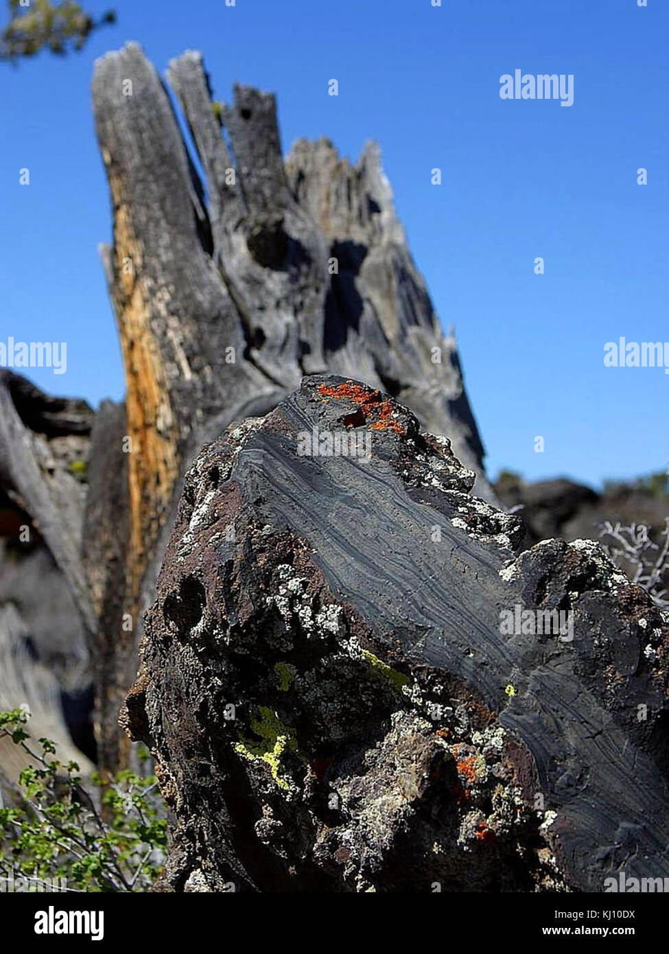 Porous volcanic rock formation hi-res stock photography and images - Alamy