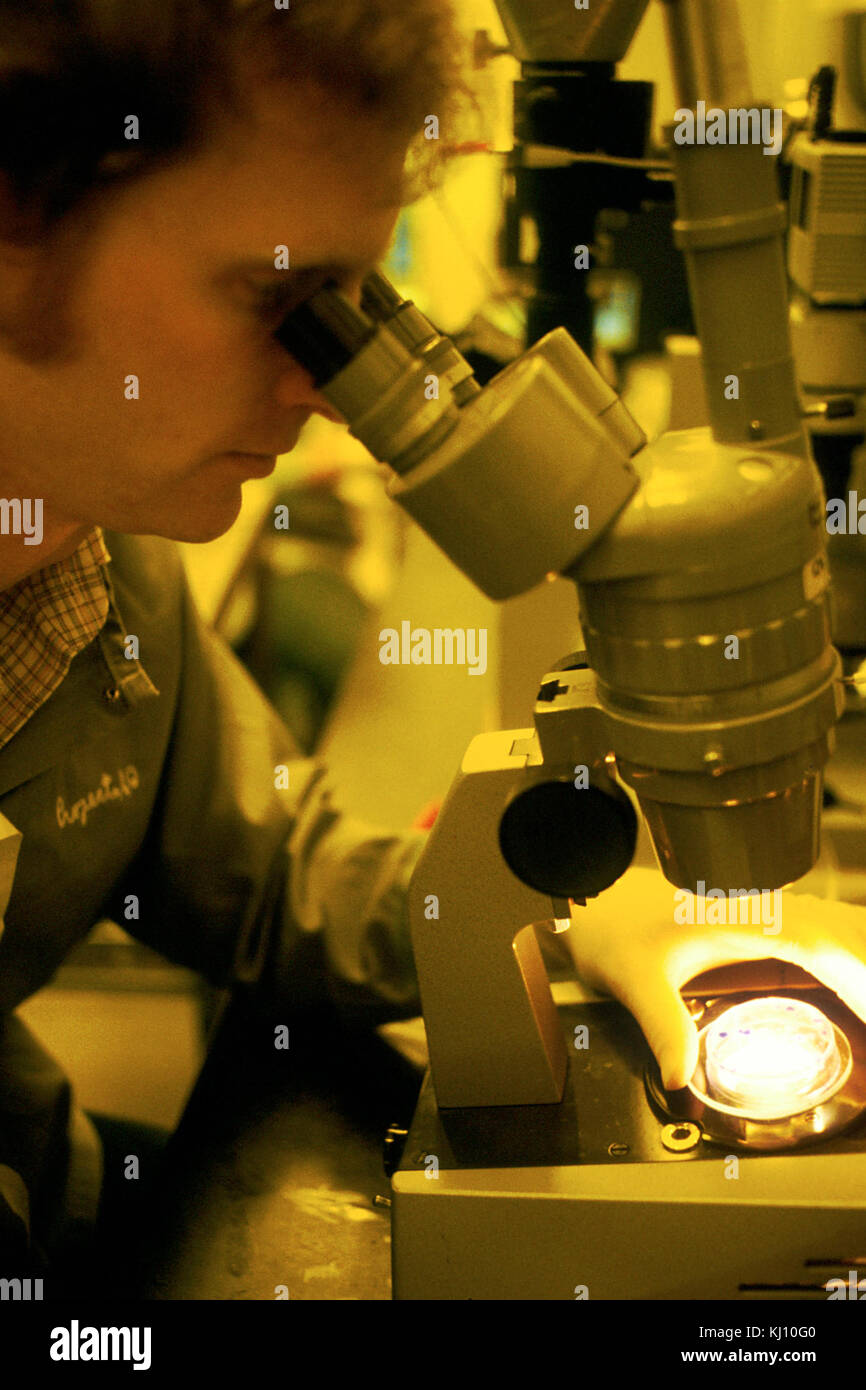 Looking through microscope old hi-res stock photography and images - Alamy