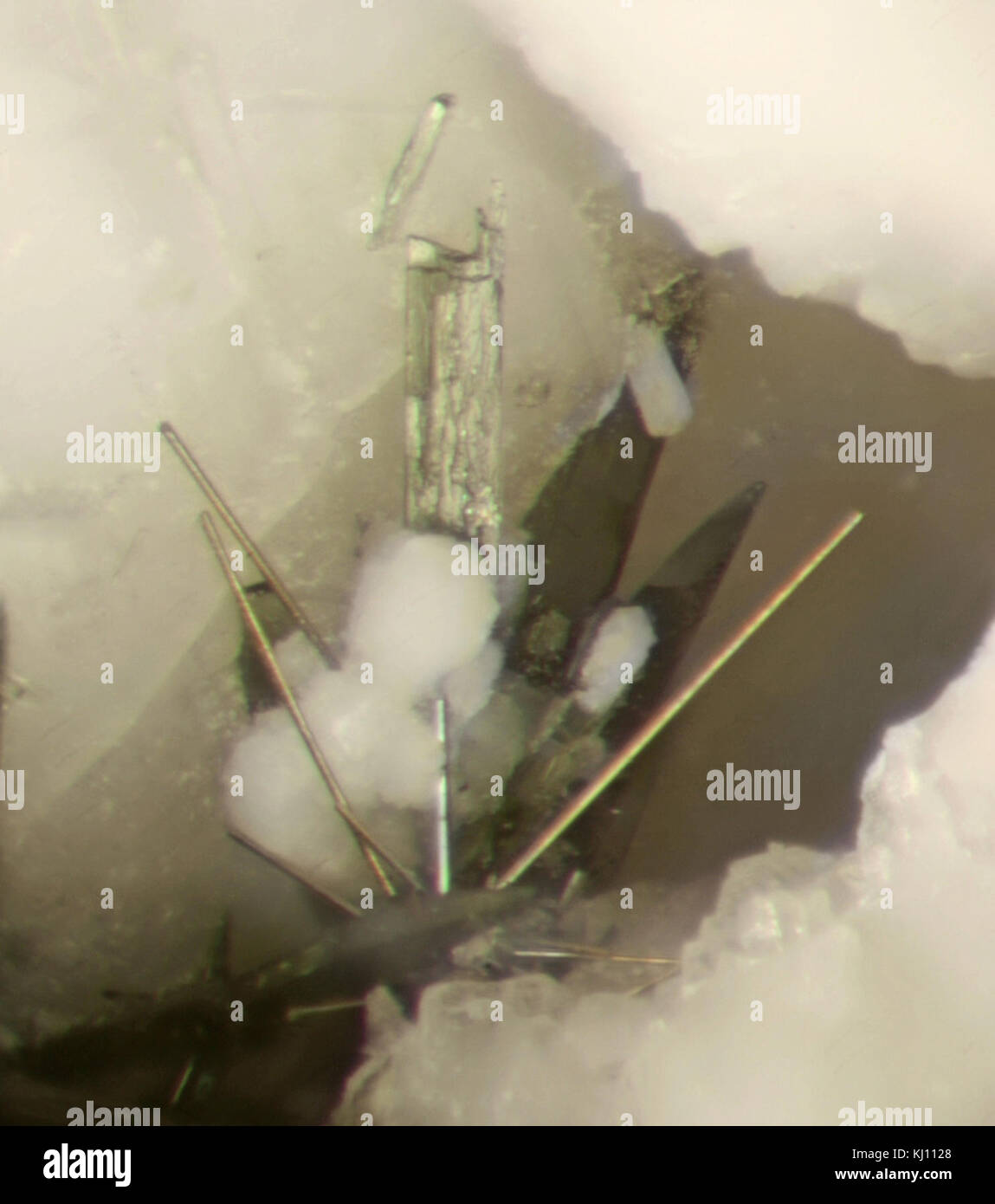 Millerite2 - Poudrette quarry, Mont Saint-Hilaire, Quebec, Canada Stock ...
