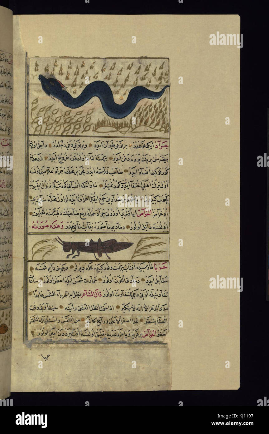 Muhammad ibn Muhammad Shakir Ruzmah-'i Nathani - A Large Serpent and a ...