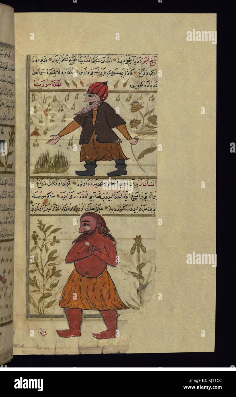 Muhammad ibn Muhammad Shakir Ruzmah-'i Nathani - The Men Shaykh al-bahr ...