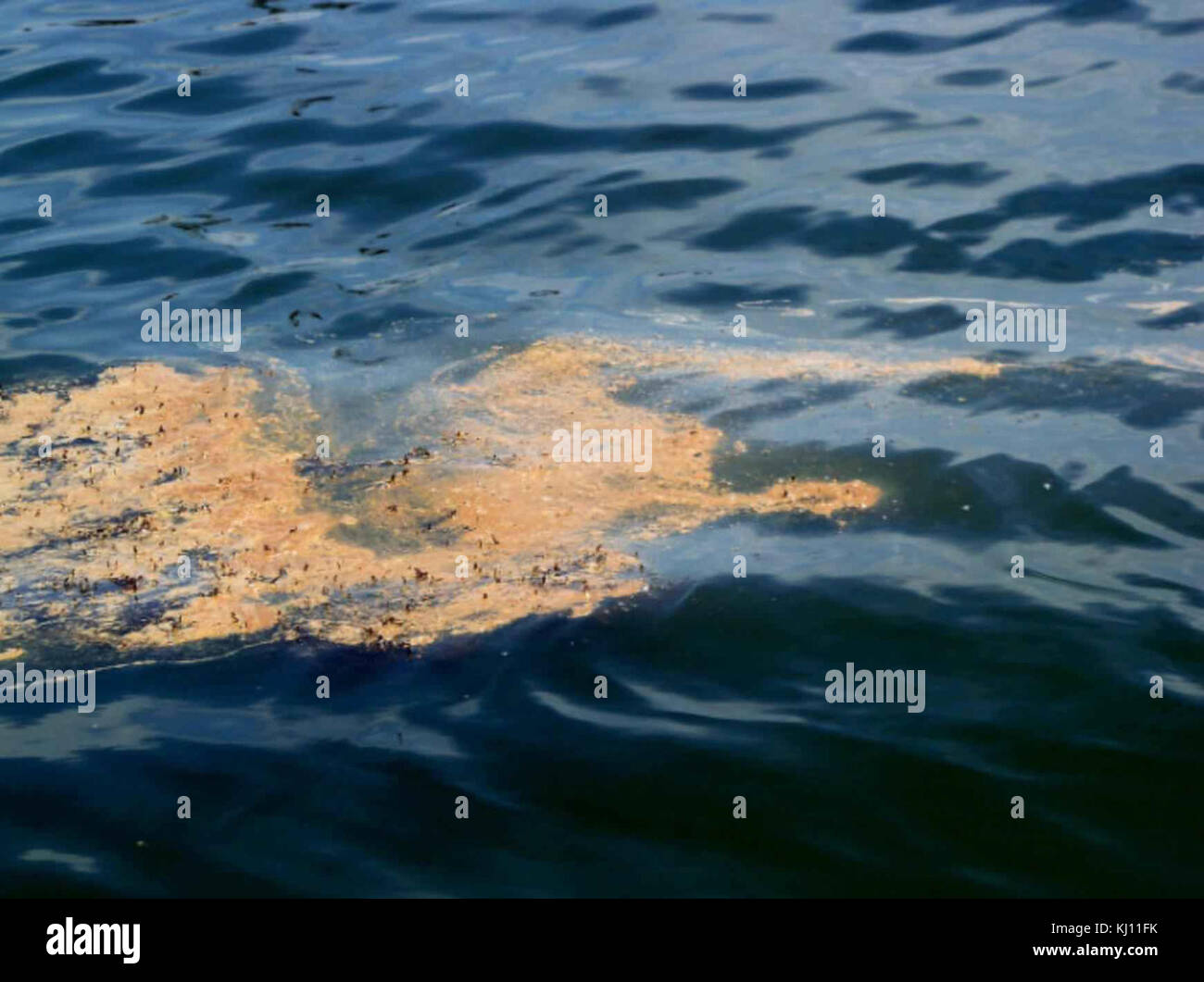 An oil slick from the oil spill Stock Photo - Alamy