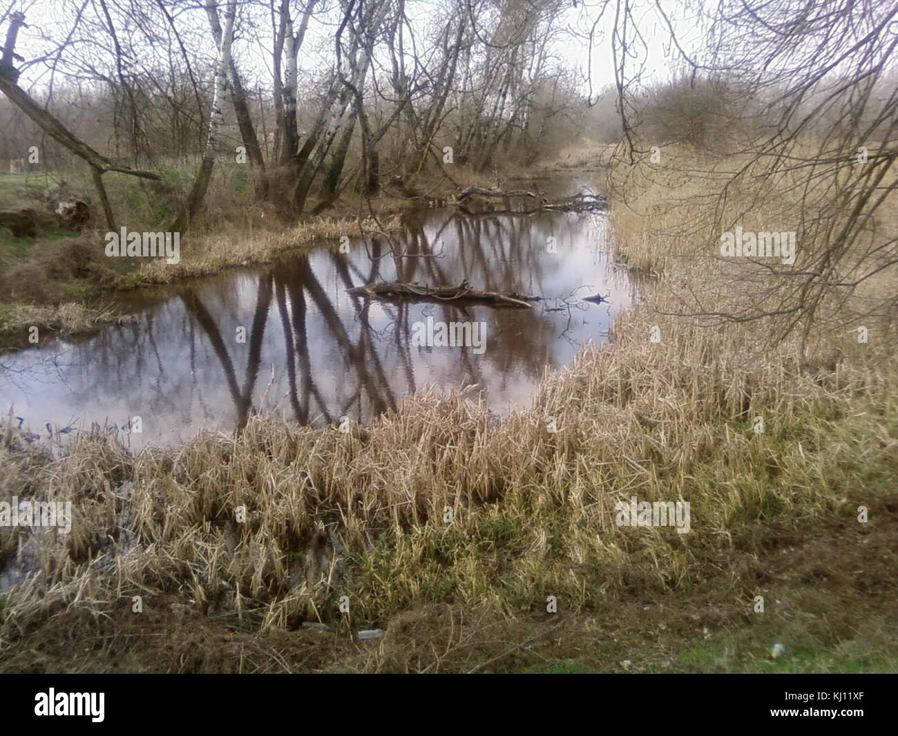 Old lake nature landscape Stock Photo - Alamy