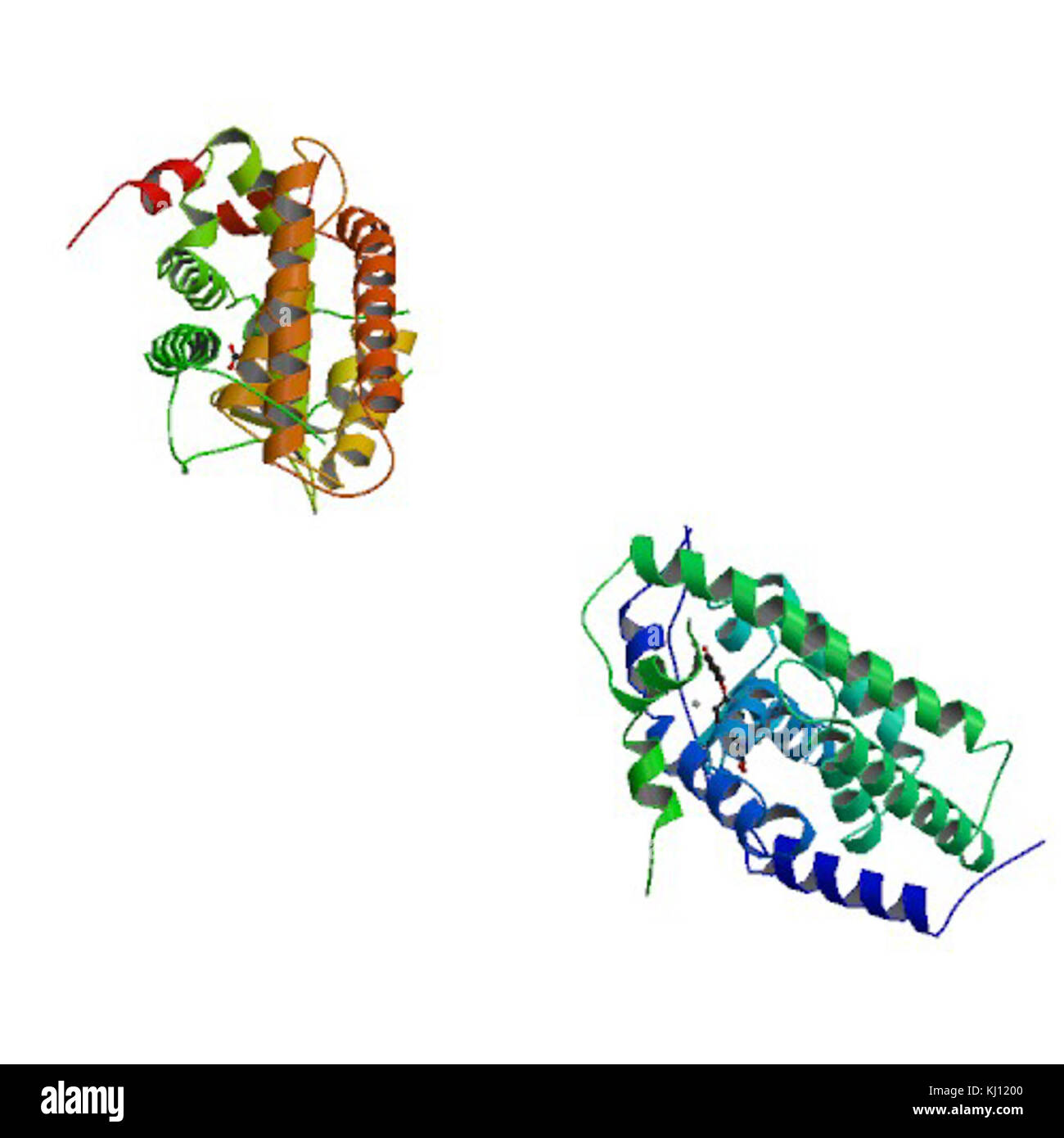 A scientific image showing the PBB protein interacting with THRB ...