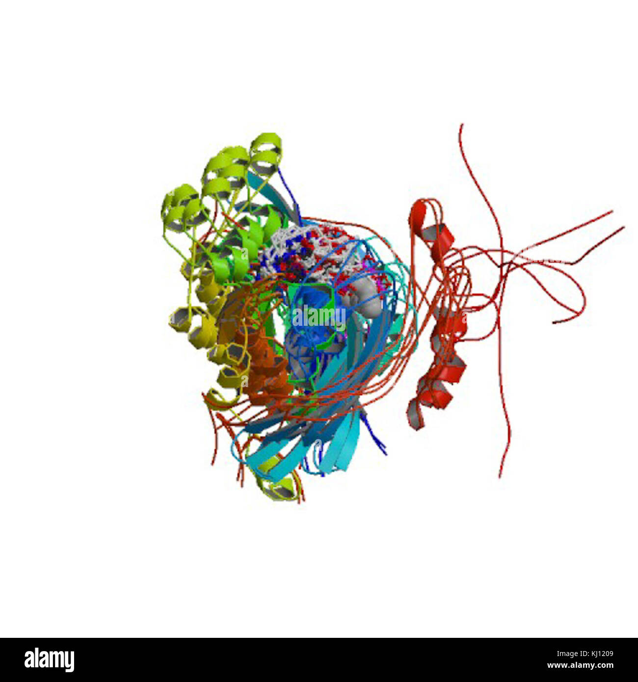 PBB Protein WAS image Stock Photo - Alamy