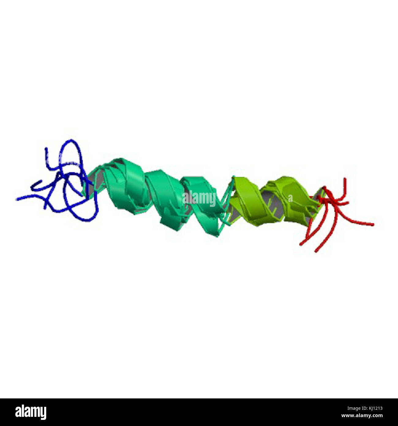 The PBB protein GCG image refers to a scientific representation of a ...