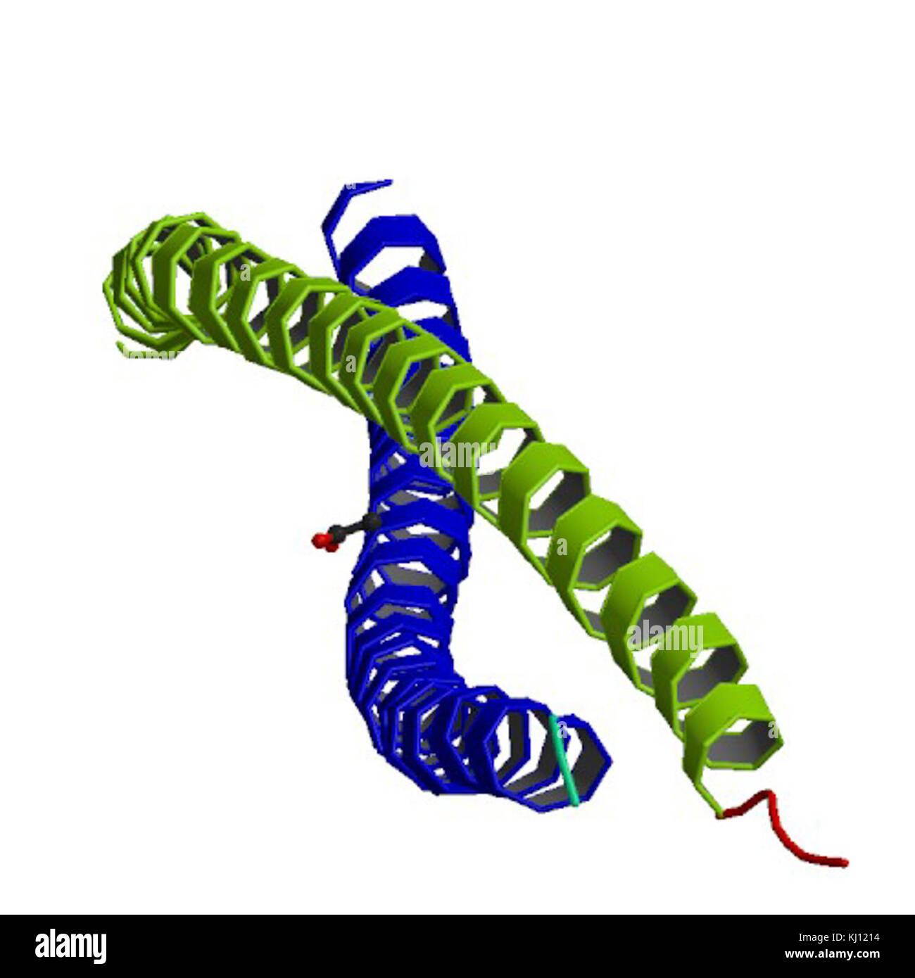PBB Protein VIM image Stock Photo - Alamy