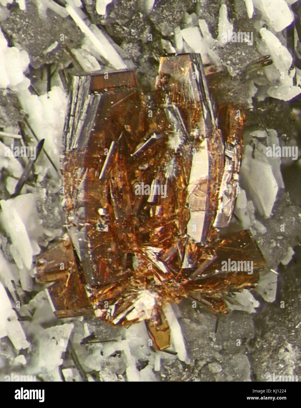 Astrophyllite hi-res stock photography and images - Alamy