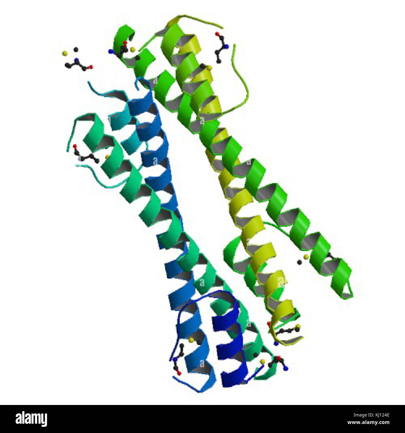 Protein interactions hi-res stock photography and images - Alamy