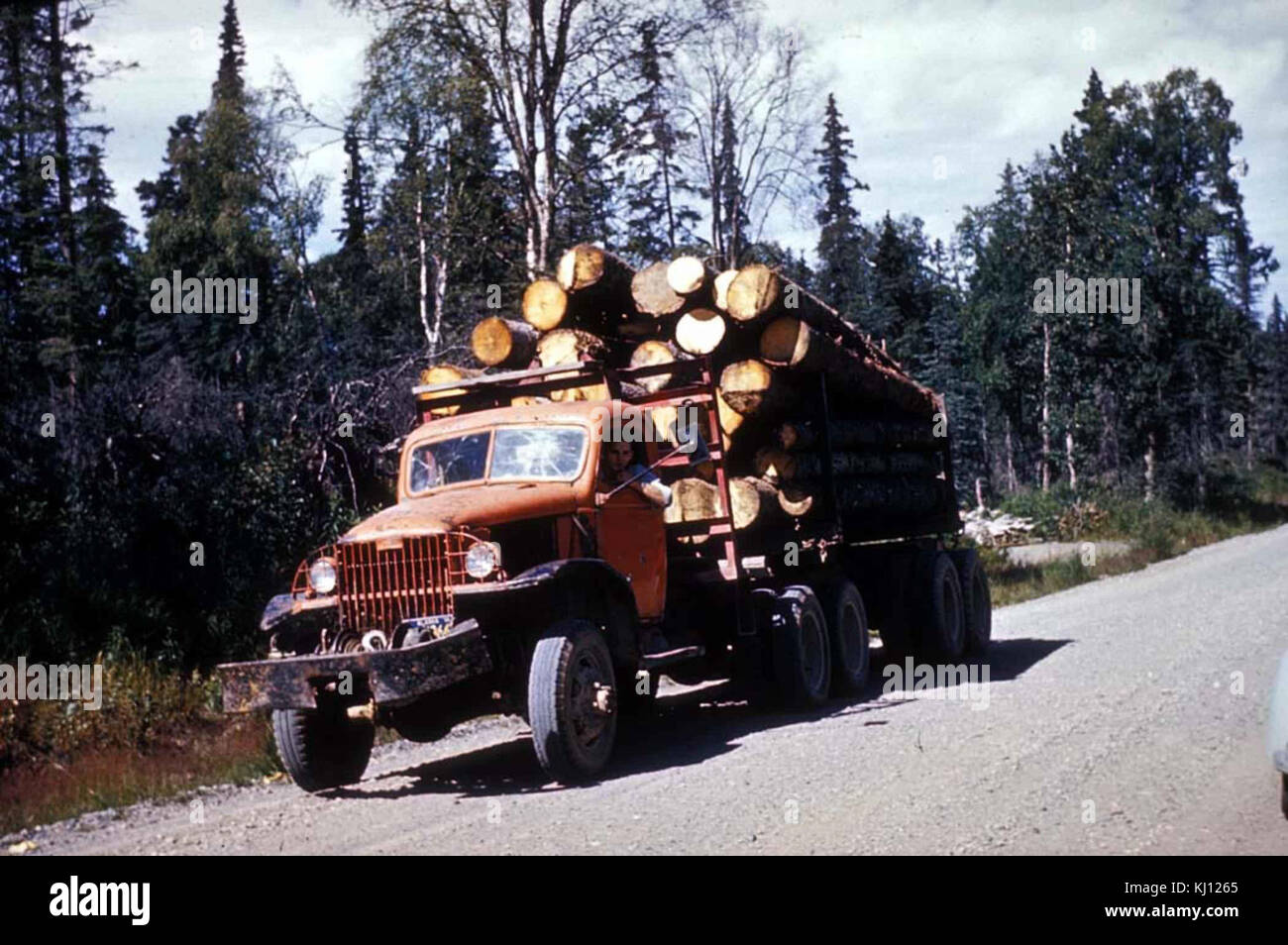 Logging truck with load of saw logs Stock Photo - Alamy