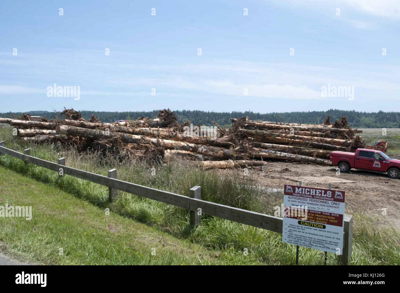 Logs with root wads still attached are being stockpiled for later use ...