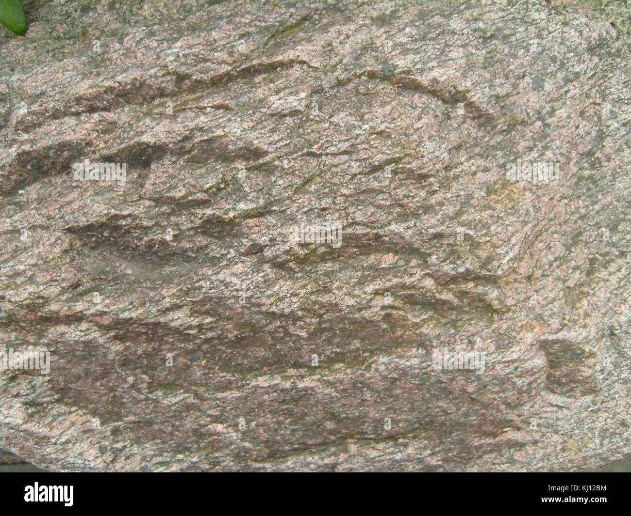 An image highlighting the pattern of a stone texture, showing the ...