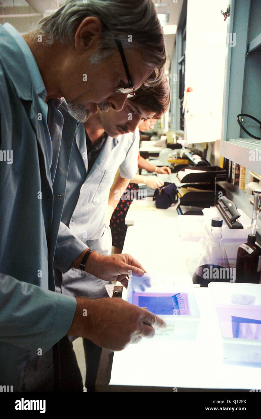 Structures of proteins hi-res stock photography and images - Alamy