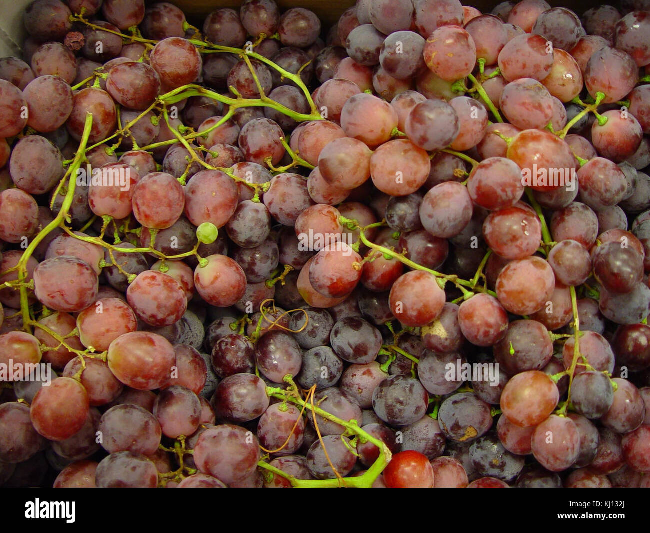 Red globe grapes Stock Photo - Alamy