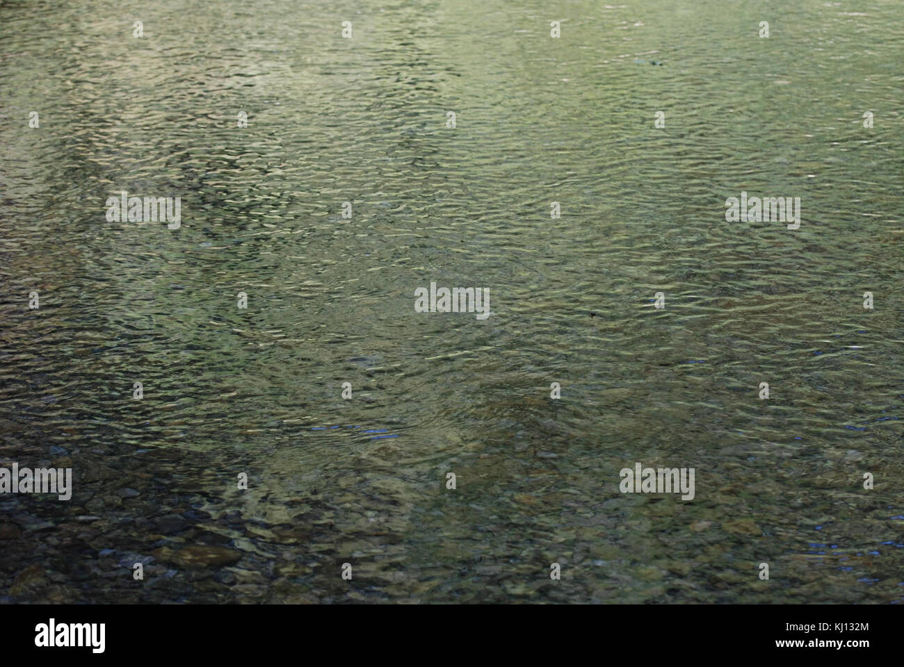 Reflections in stream Stock Photo - Alamy