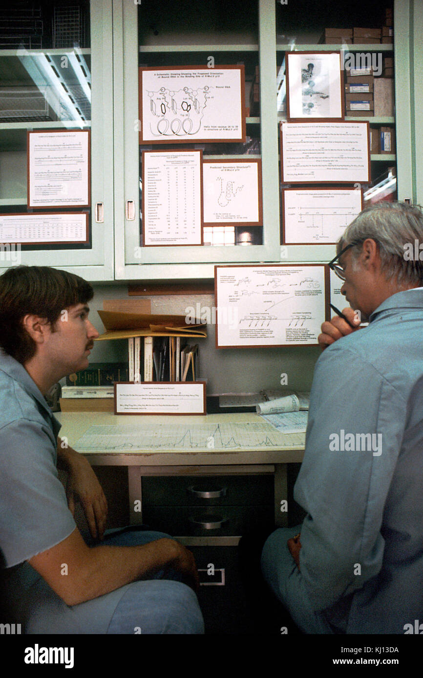 Scientists examine a graph Stock Photo - Alamy
