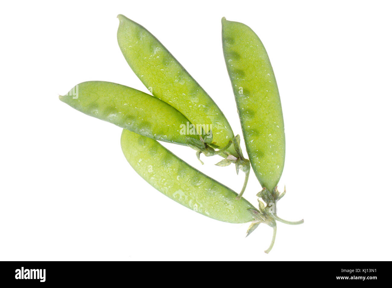 Sustainable production pea pods hi-res stock photography and images - Alamy