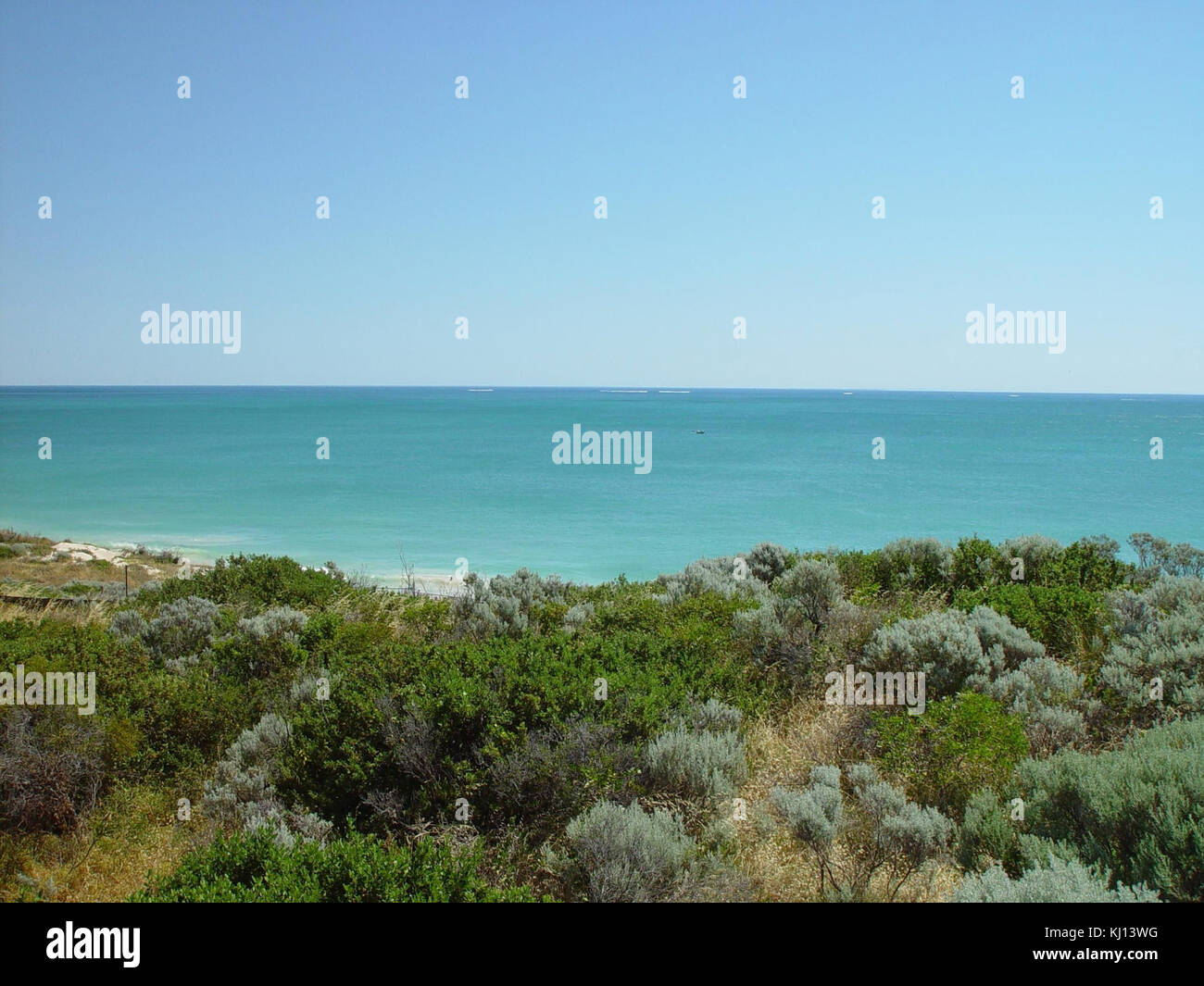 Scrubland ecosystems hi-res stock photography and images - Alamy