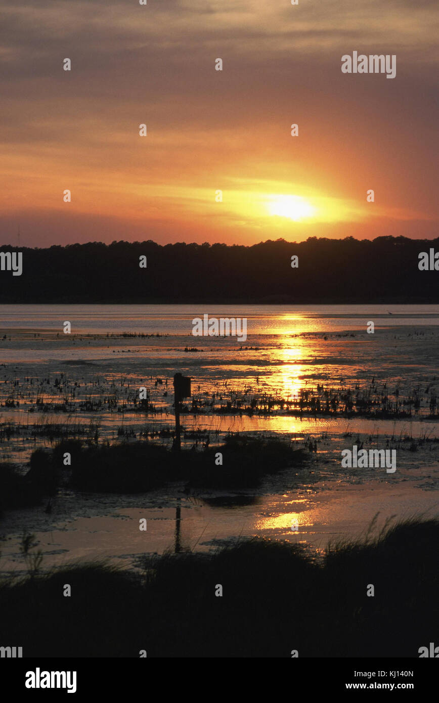 Sunset reflected on open water Stock Photo - Alamy