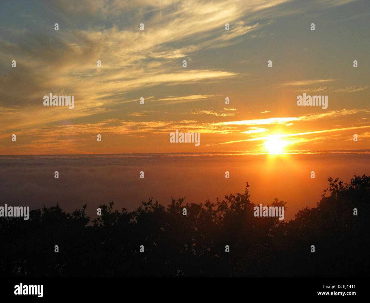 A serene image capturing the sunrise over the ocean, showcasing the ...