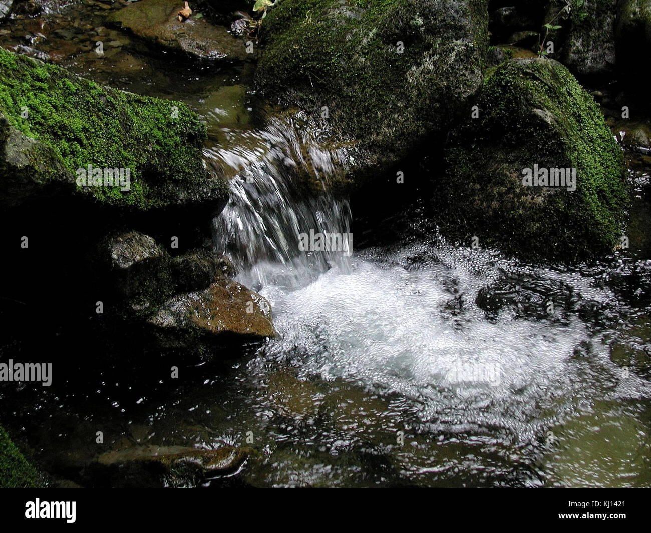 Stream in hill Stock Photo - Alamy