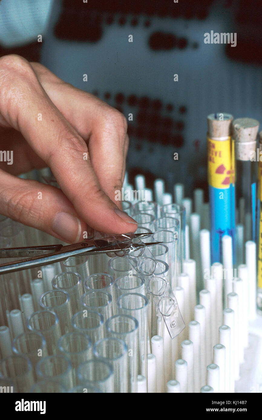 Test tubes (2 Stock Photo - Alamy