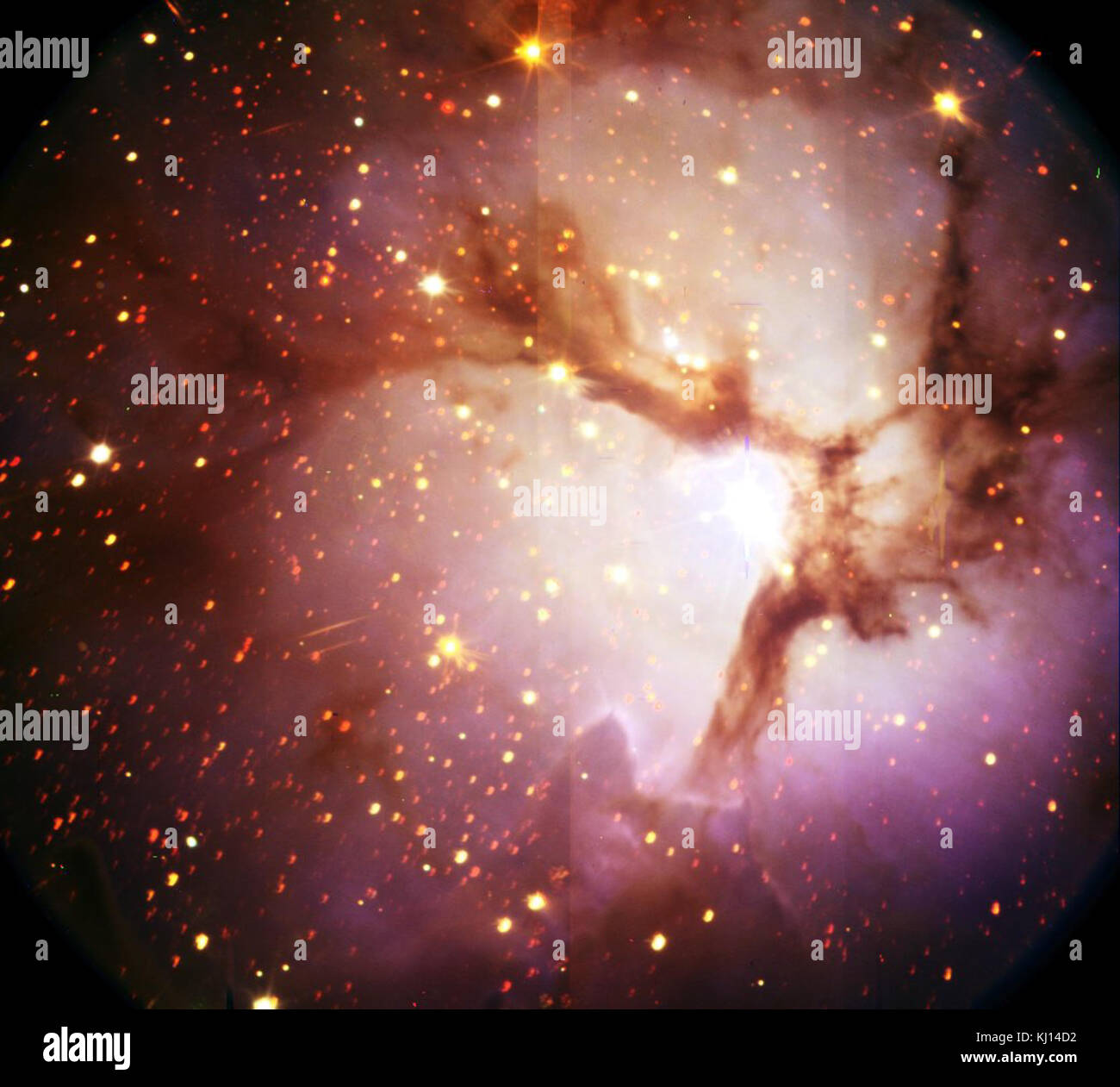 Triffid hi-res stock photography and images - Alamy