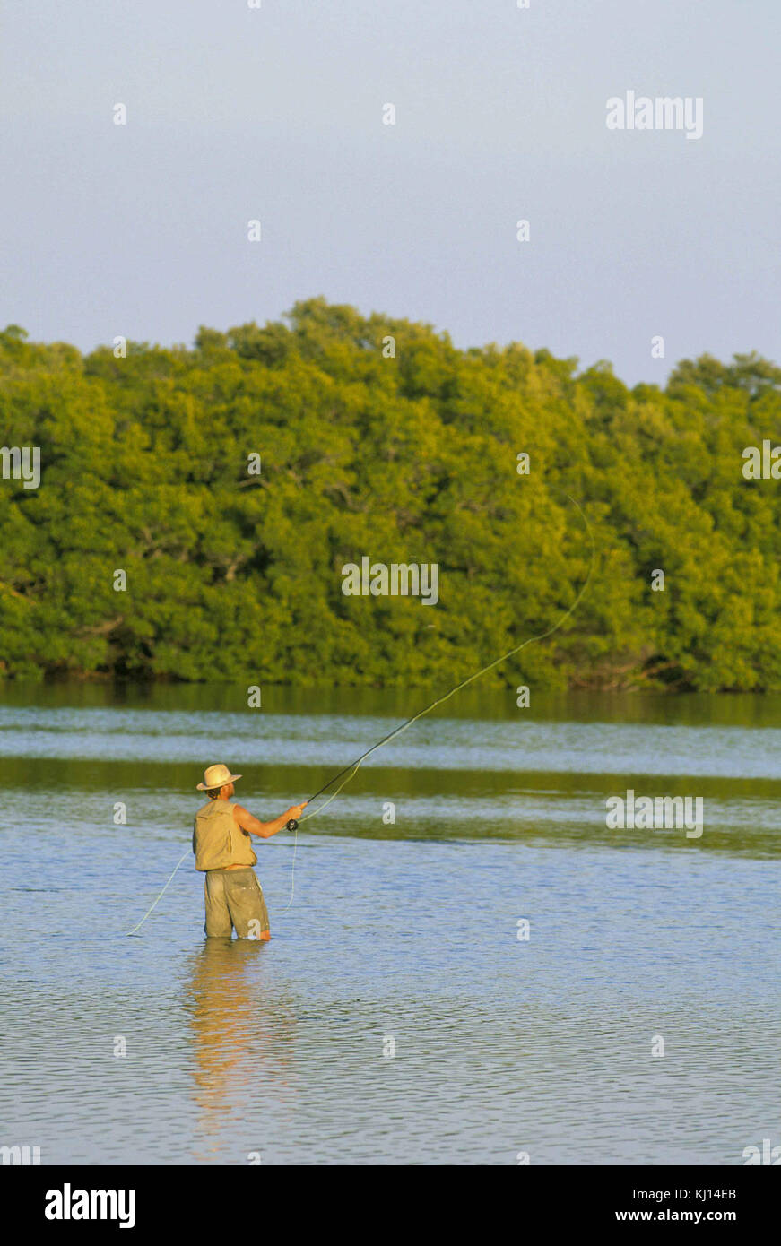 This image captures a man engaged in fly fishing, a technique known for ...