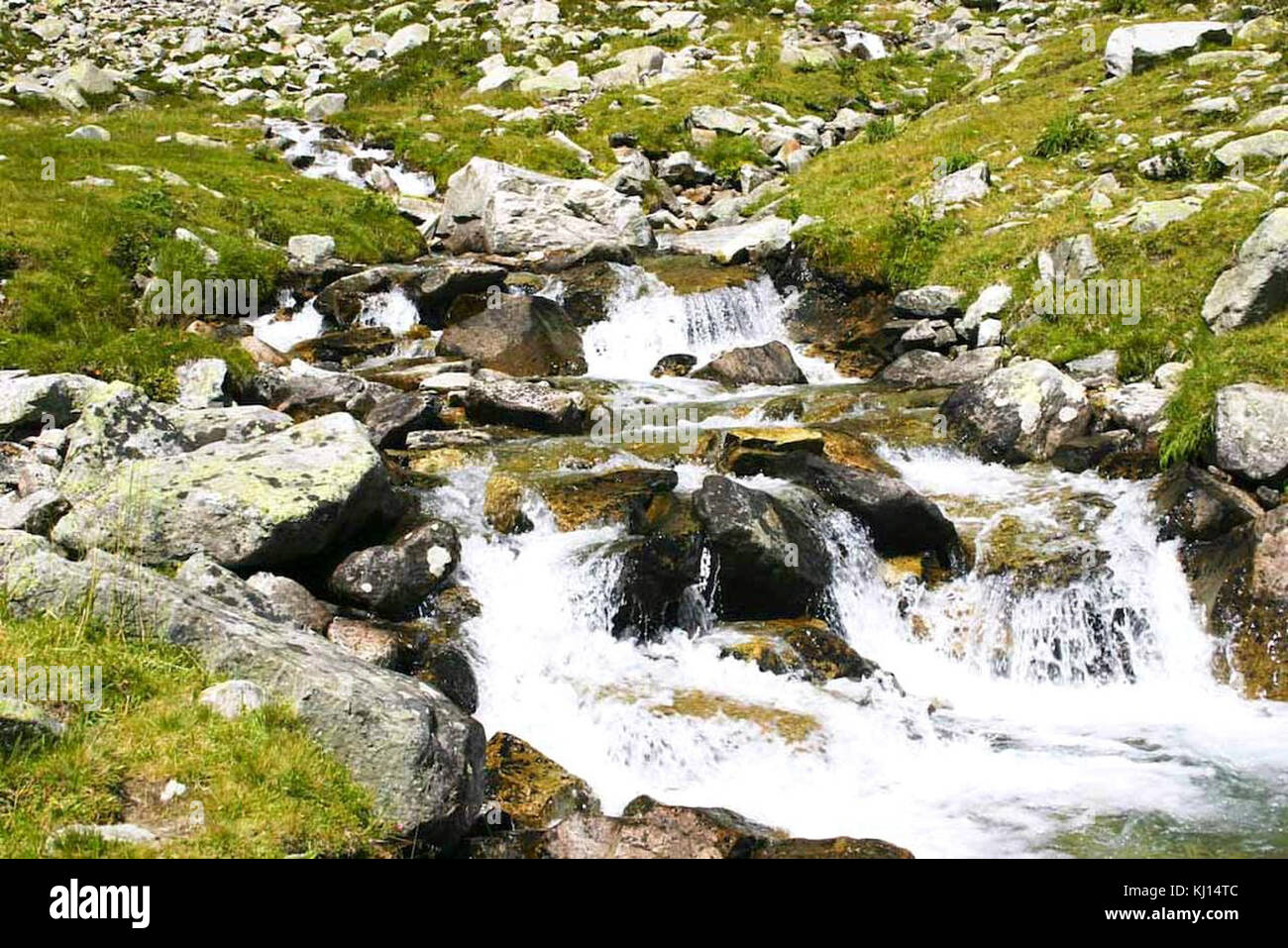 This image depicts a water stream during the rainy season, capturing ...