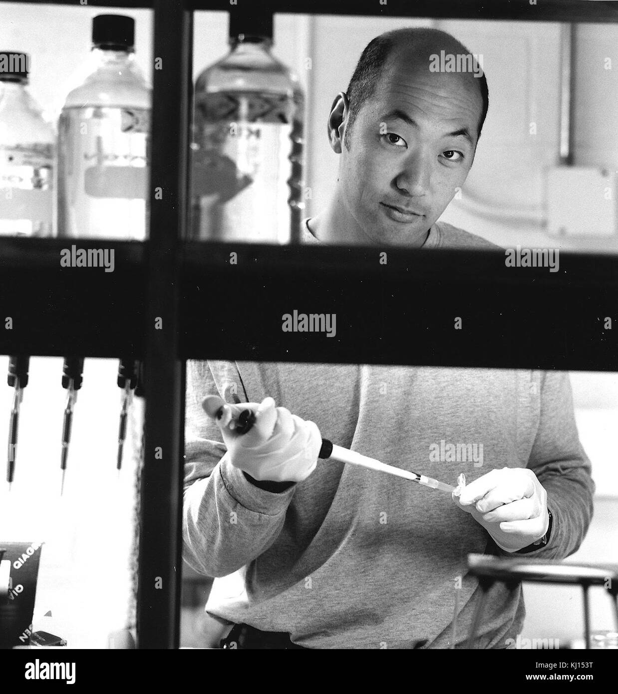 Terry yamaguchi hi-res stock photography and images - Alamy