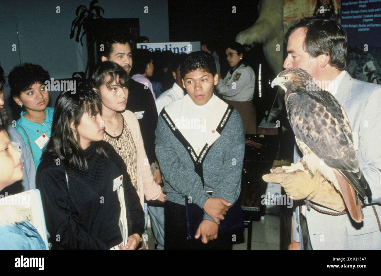 Man lecturer teaches teenagers about birds Stock Photo - Alamy