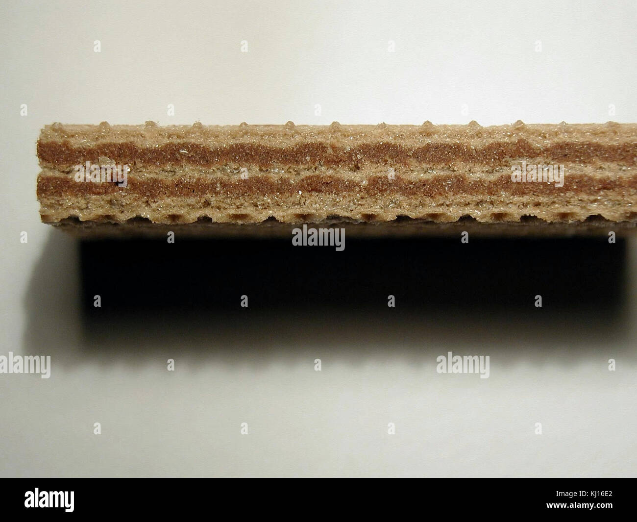 Biscuit high detail Stock Photo - Alamy