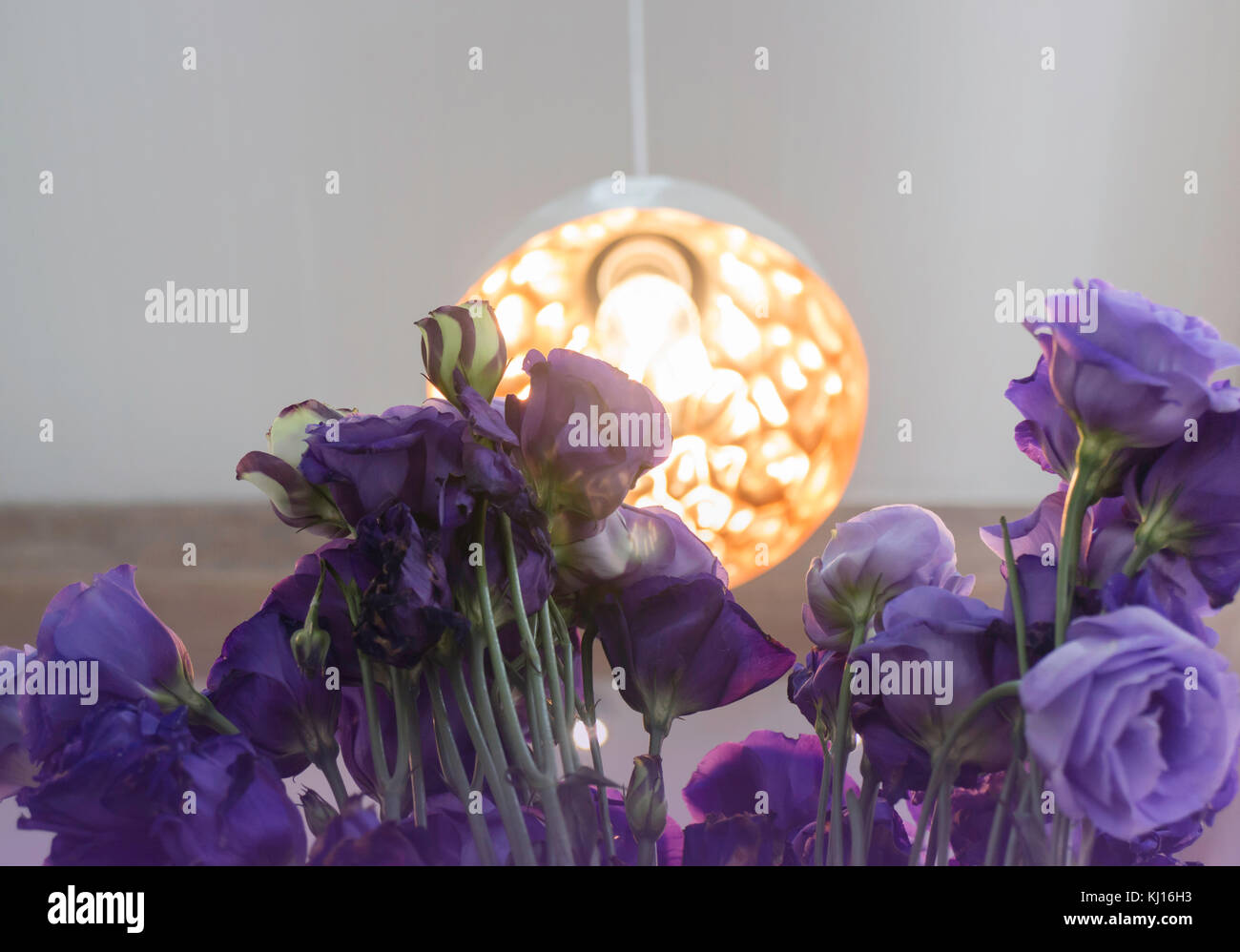 Beautiful fresh purple roses bouquet in vase, stock photo Stock Photo ...